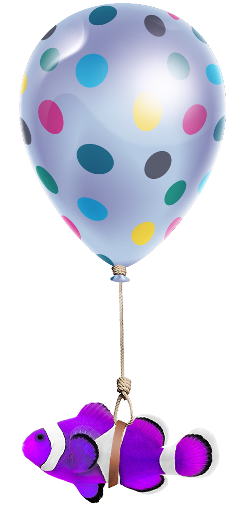 About Us – Debbie Burbage